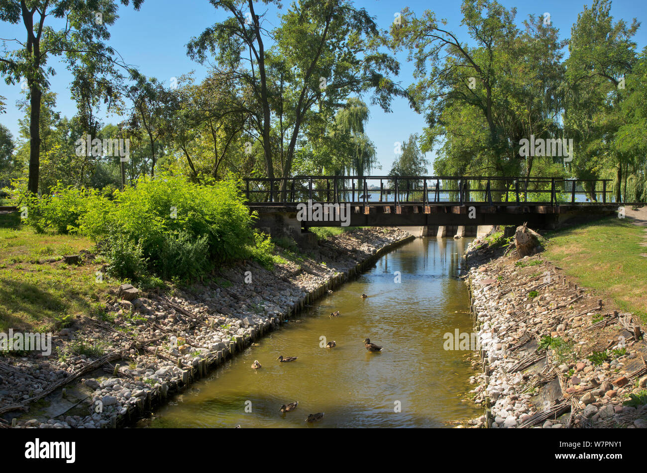 Gasawka river at city park in Znin. Poland Stock Photo - Alamy