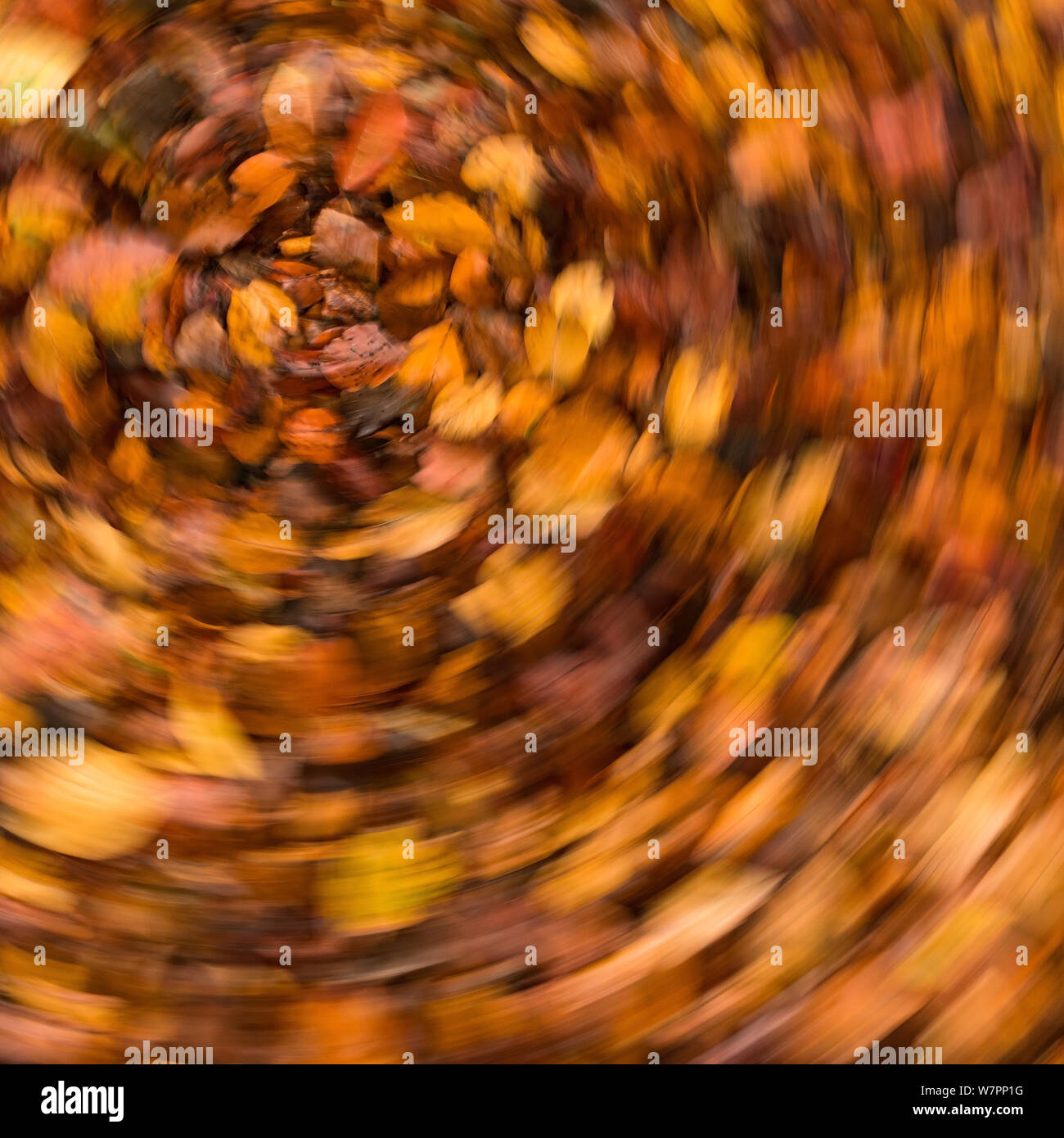 Seeding square hi-res stock photography and images - Alamy