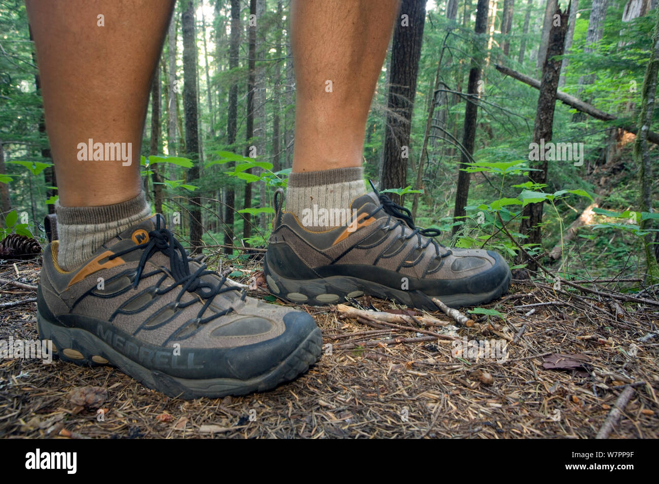 Hikers Feet High Resolution Stock Photography and Images - Alamy