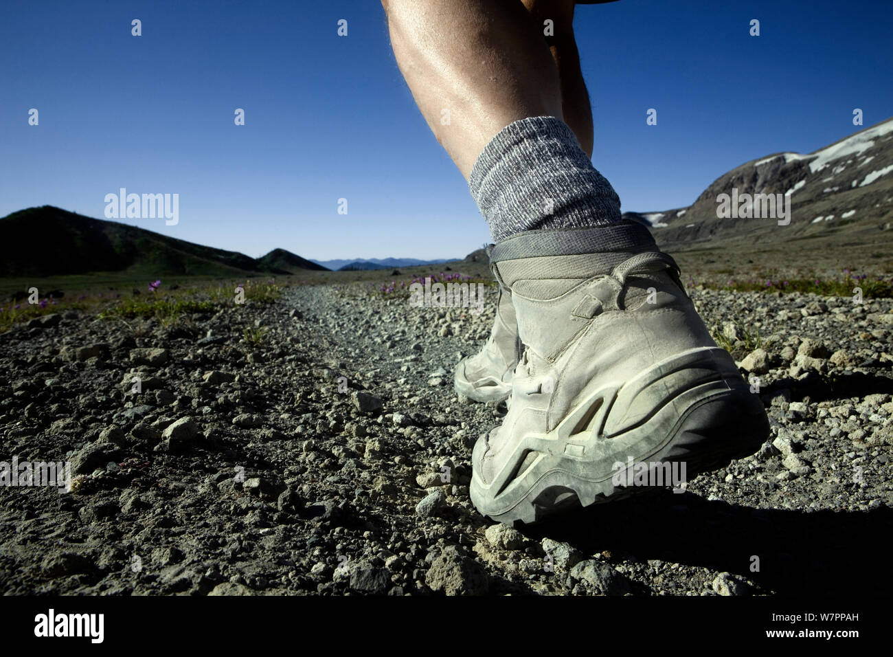 Hikers Feet High Resolution Stock Photography and Images - Alamy