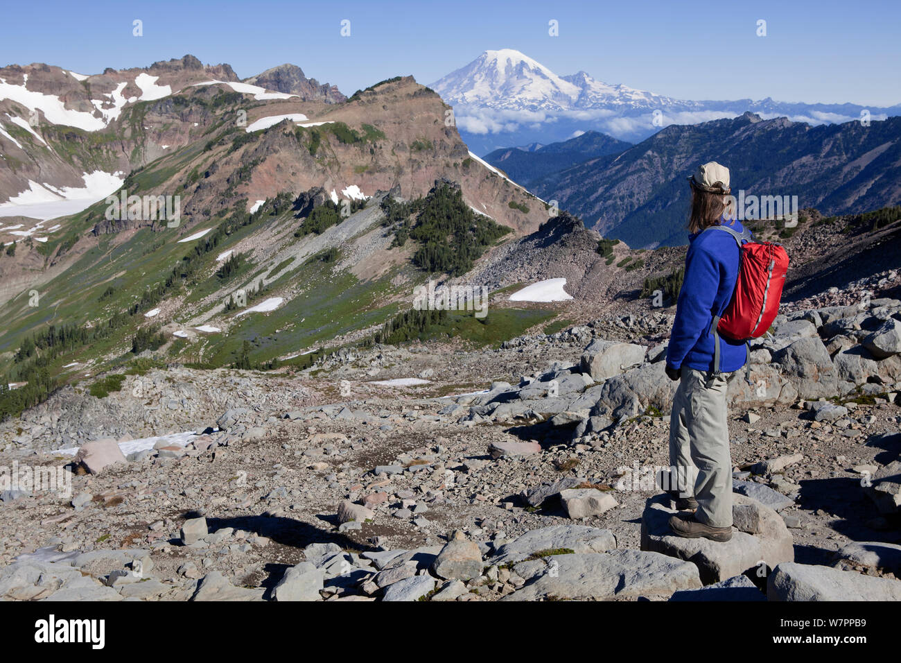 Hiker looking towards Mount Rainier from the Pacific Crest Trail above ...