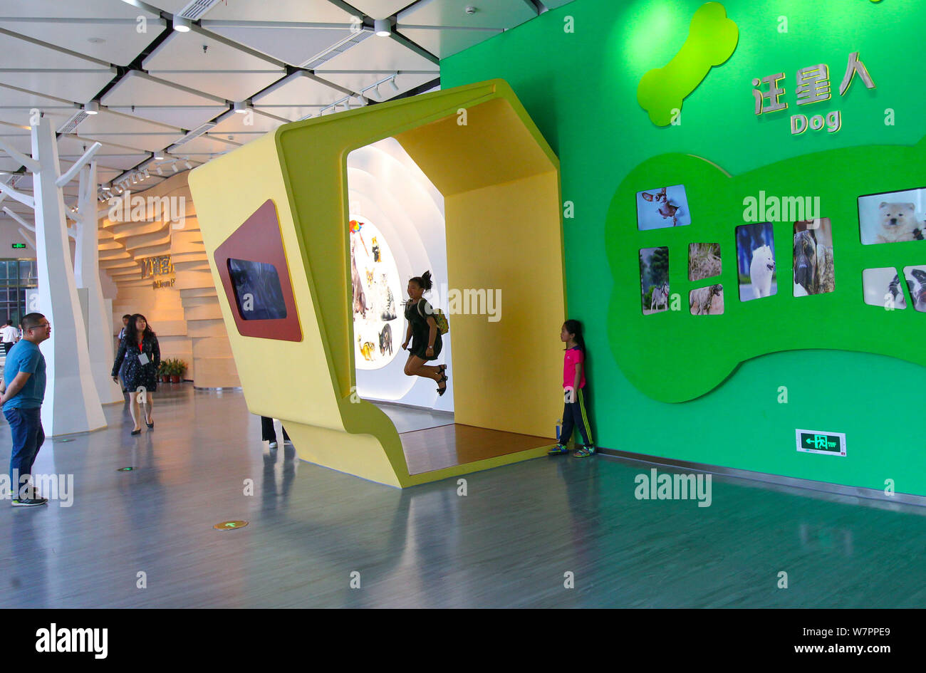 --FILE--Tourists visit the "living room of pet town", a place to ...