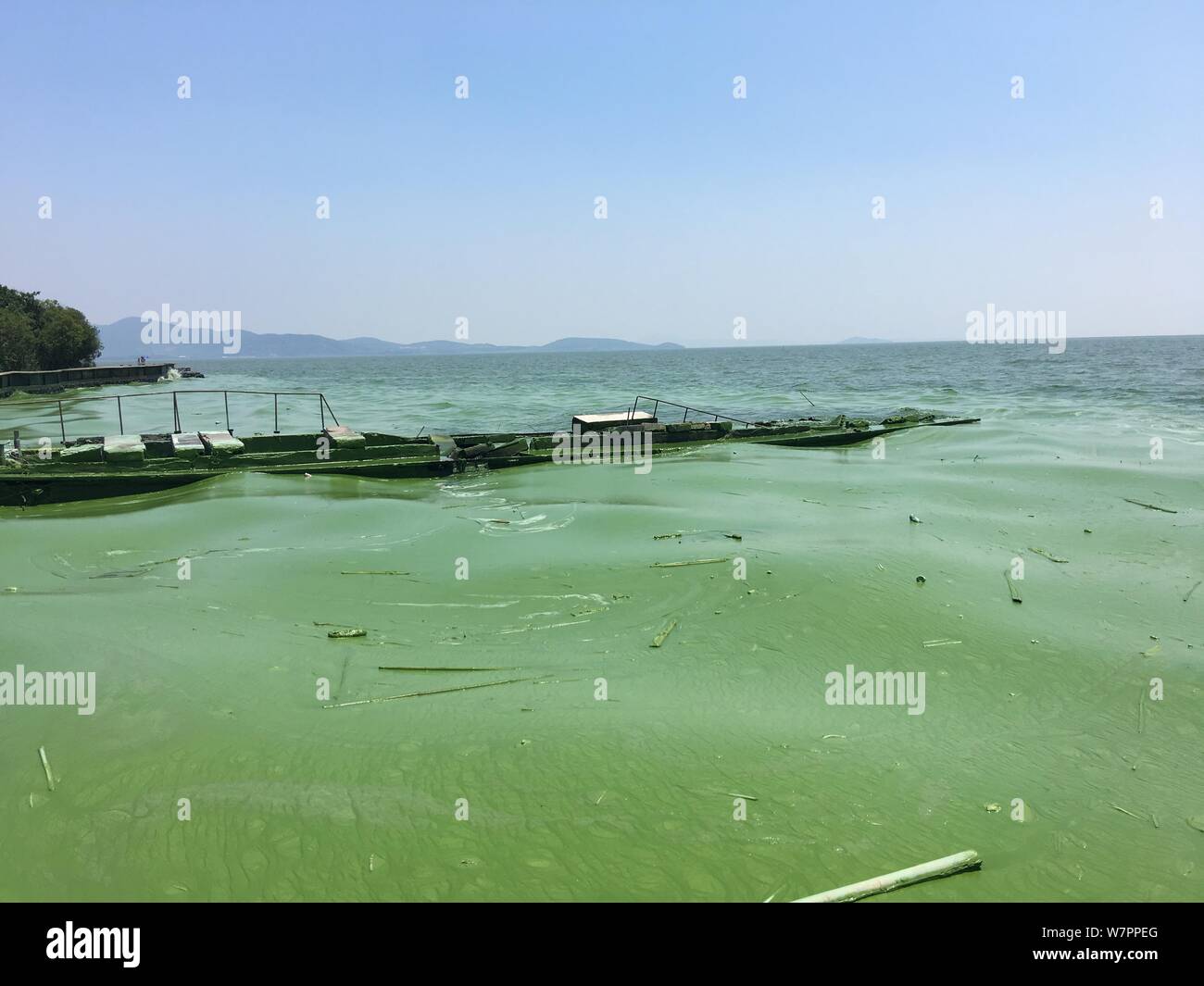 Taihu lake algae hi-res stock photography and images - Alamy