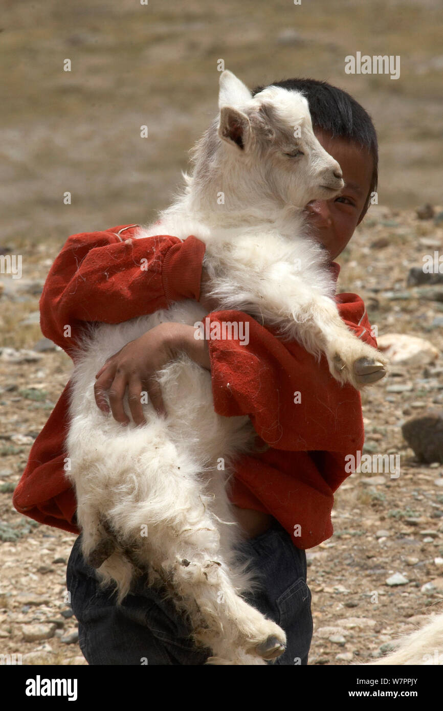 Goat herder child carrying a goat kid, these nomadic herders are known ...