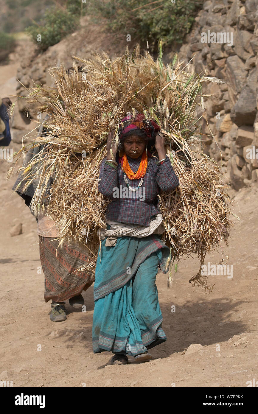 Humla karnali hi-res stock photography and images - Alamy