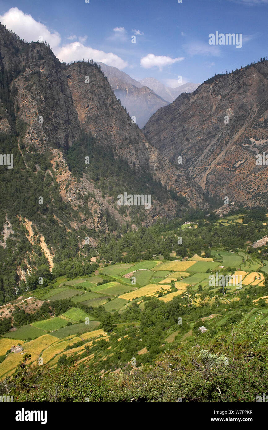 Humla valley hi-res stock photography and images - Alamy