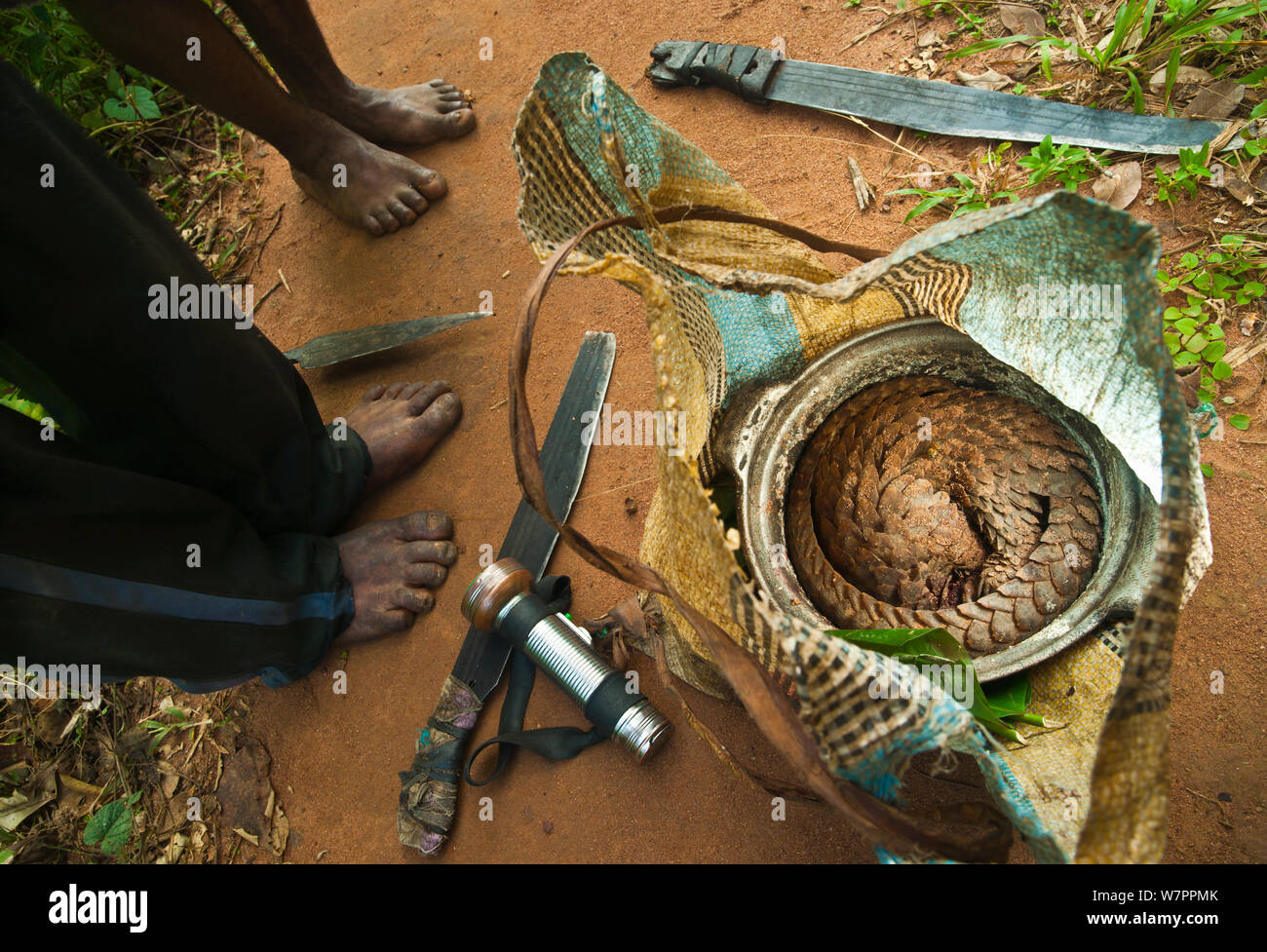 Bushmeat for sale africa hi-res stock photography and images - Alamy