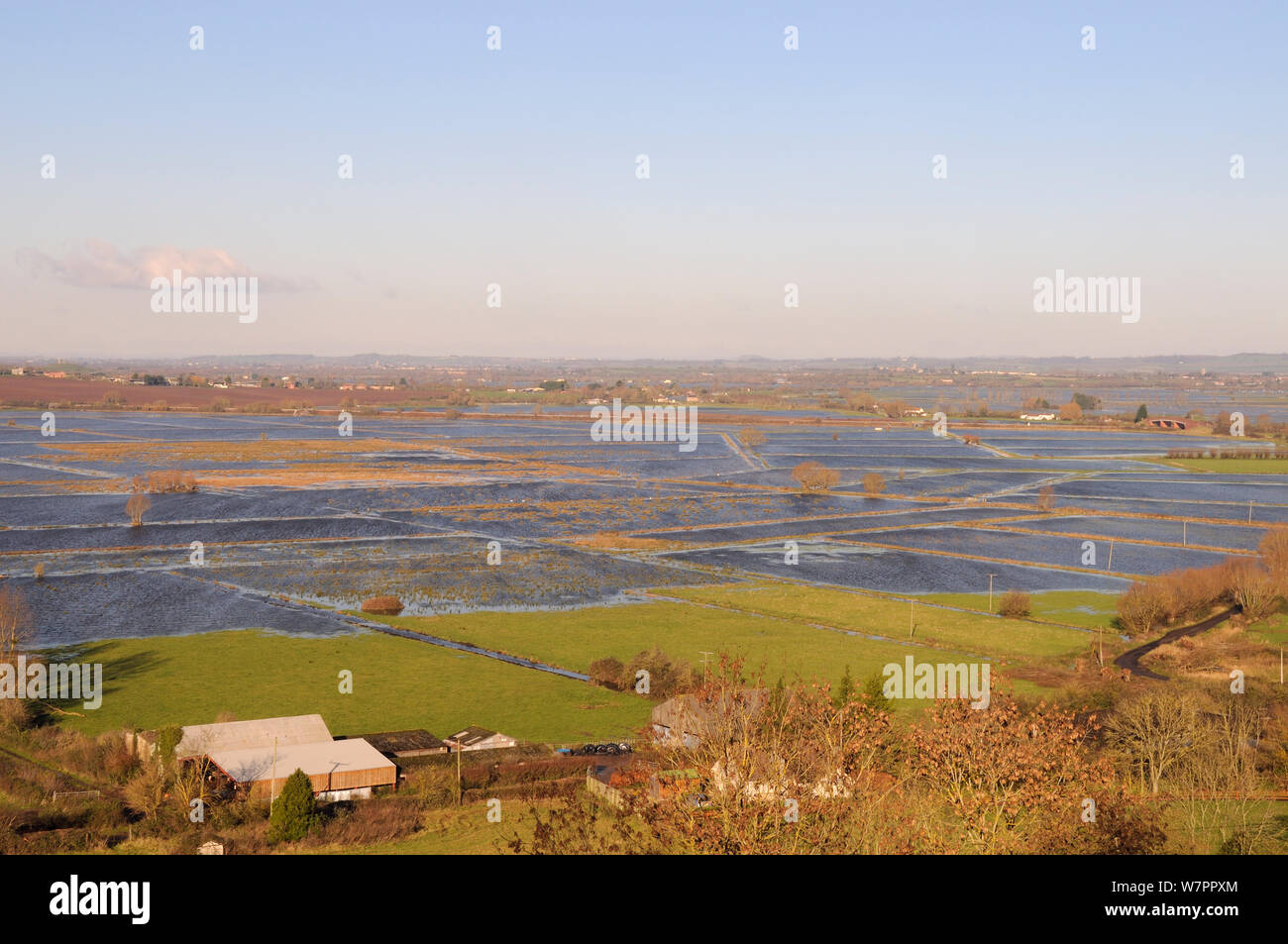 Sedgemoor hi-res stock photography and images - Alamy