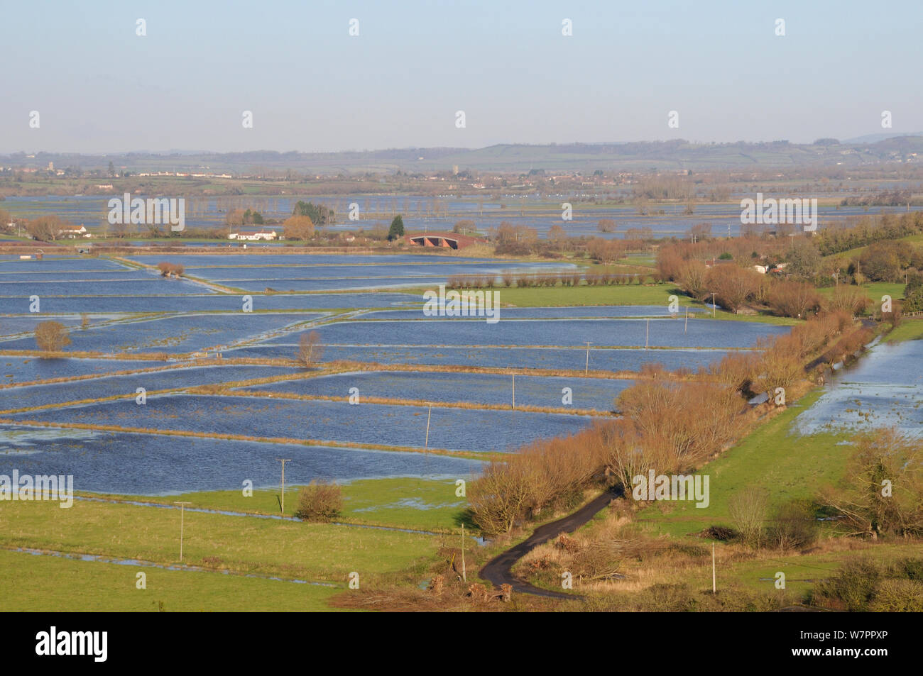 Extensively flooded pastureland and farm tracks on West Sedgemoor and ...