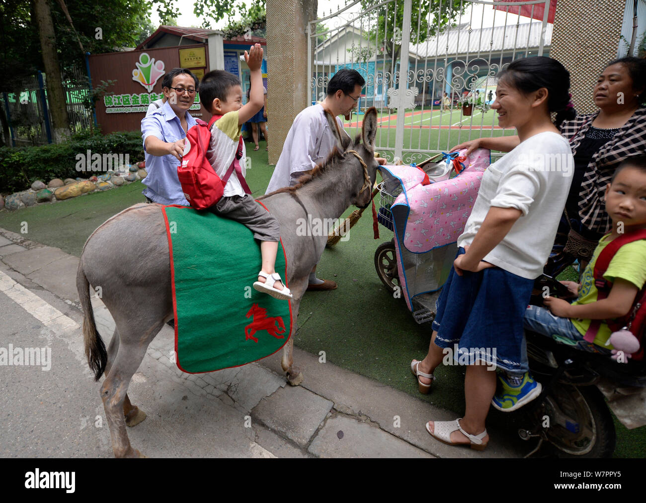 The three-year-old child is pictured on the back of a donkey with his ...