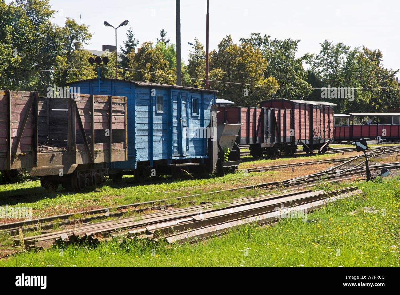 Narrow-gauge railway in Znin. Poland Stock Photo - Alamy