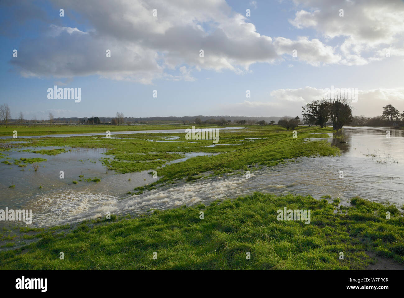Hugely swollen River Parrett overflowing onto Aller moor near Staithe ...