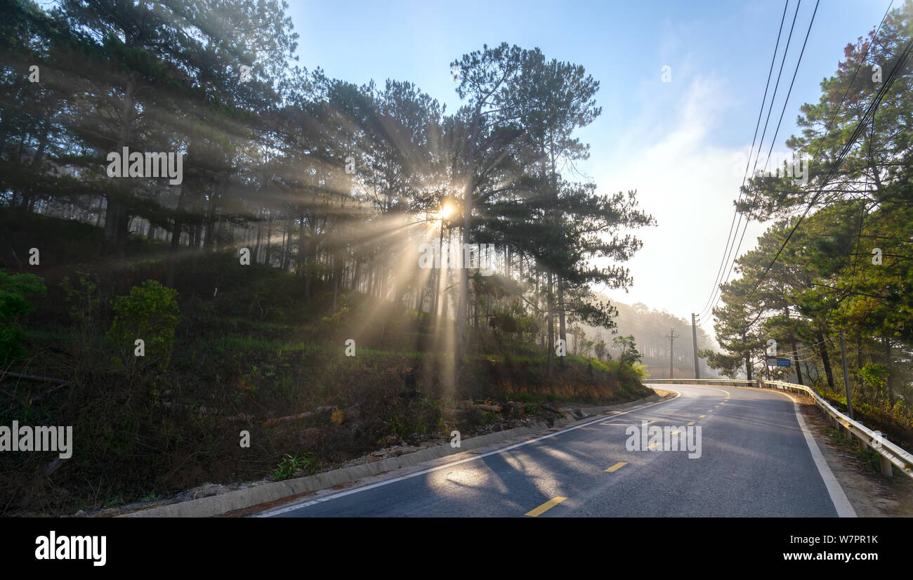 Sun rays shining down hi-res stock photography and images - Alamy