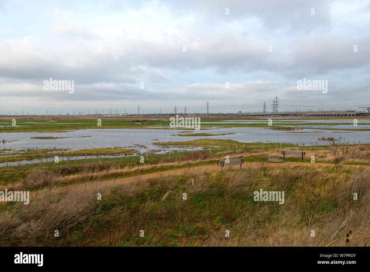 Rainham marshes rspb nature reserve hi-res stock photography and images ...