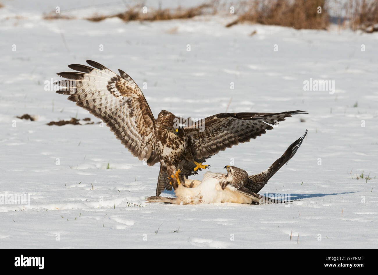 Colour phases hi-res stock photography and images - Alamy