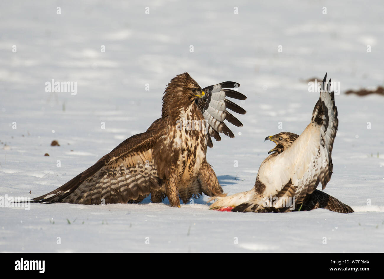 Colour phases hi-res stock photography and images - Alamy