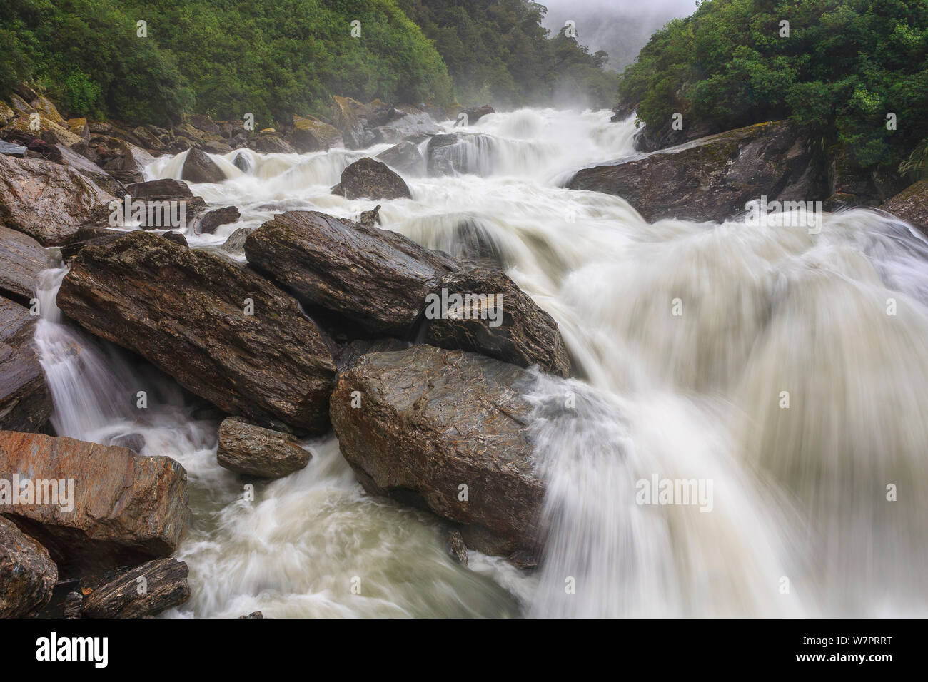 Haast River slightly coloured from recent rain, taken under the Gates ...