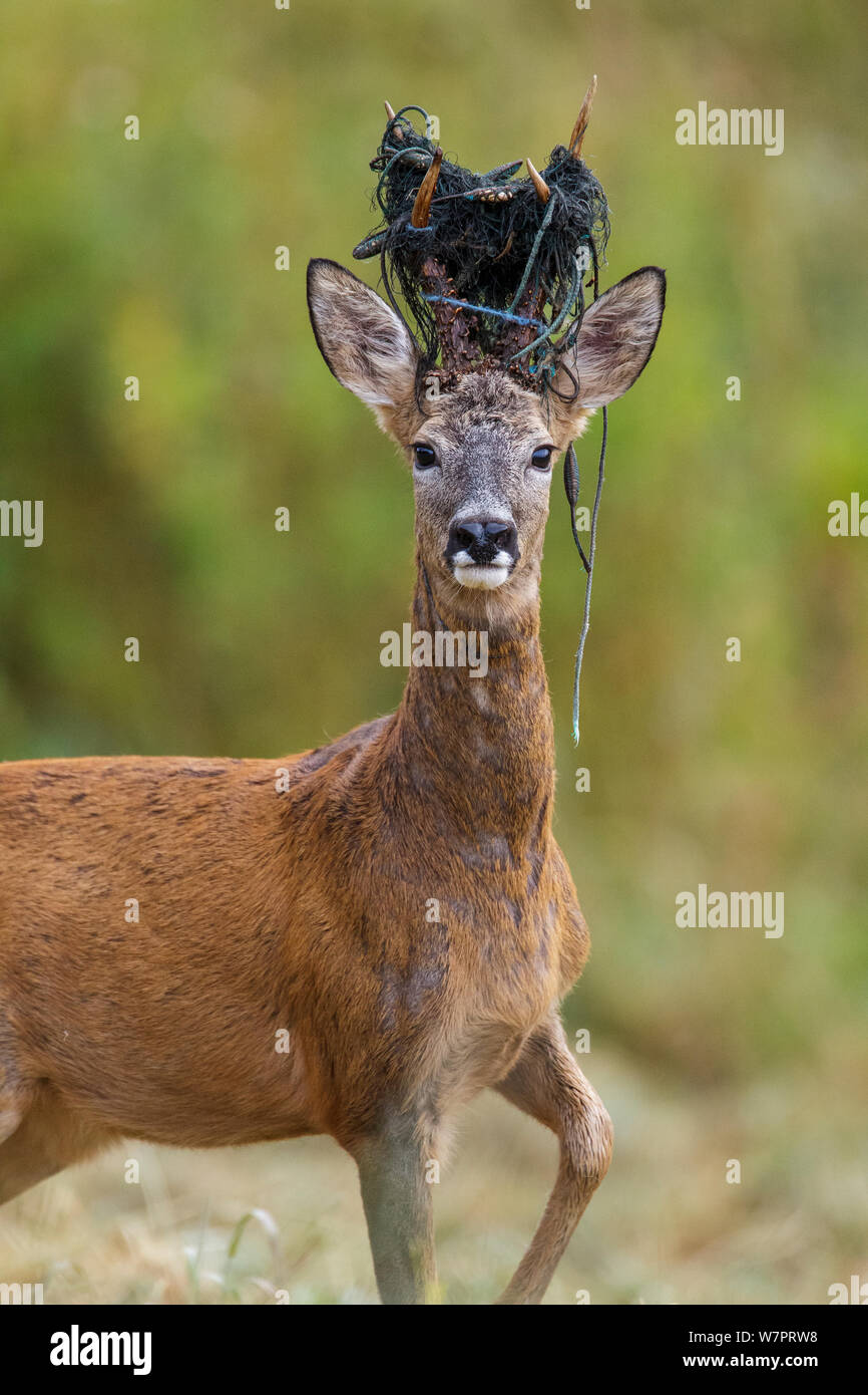 Norway Fishing Nets High Resolution Stock Photography and Images - Alamy