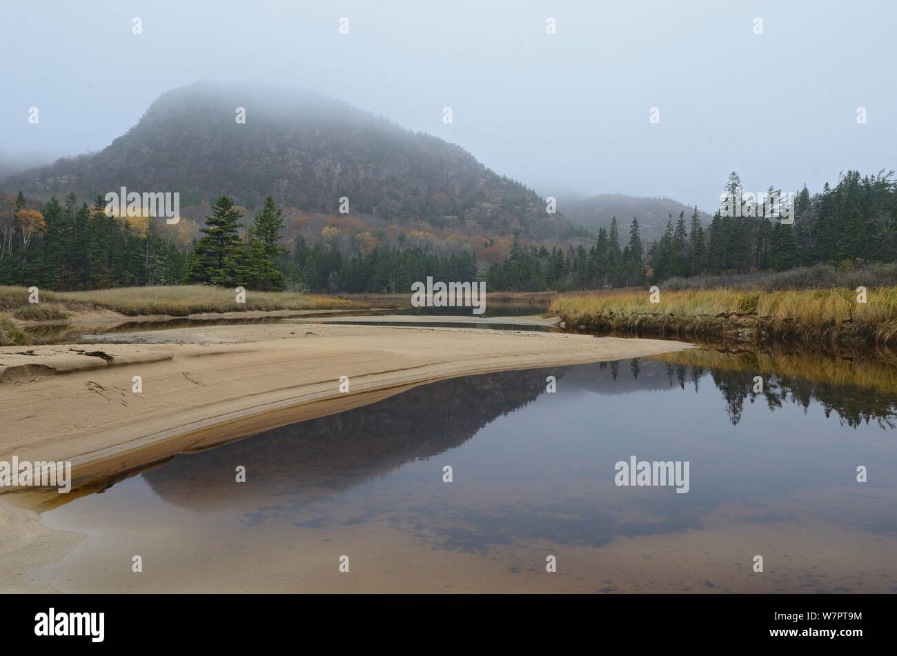 Sandy beach on misty day, Acadia National Park, Maine, USA, October ...