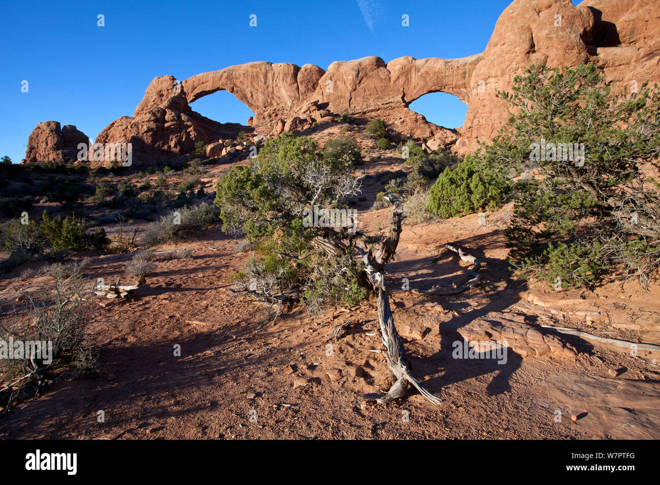 Arid erosion hi-res stock photography and images - Alamy
