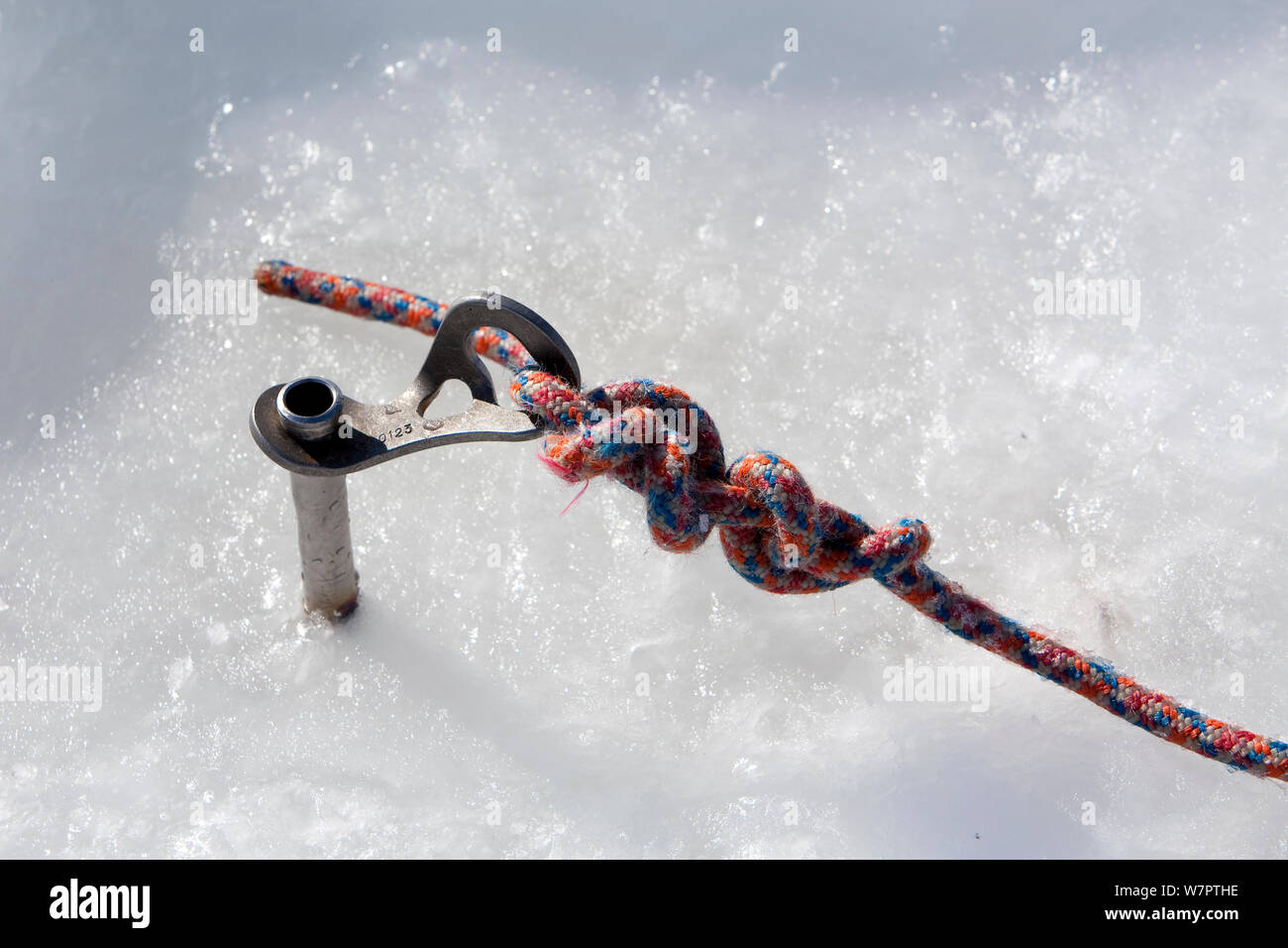 An ice piton is used to connect the diver to the surface, before entry ...
