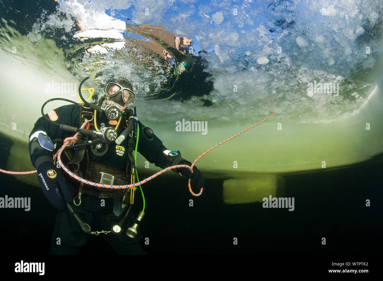 Scuba diver under ice, surfacing to the hole, Arctic circle Dive Center ...