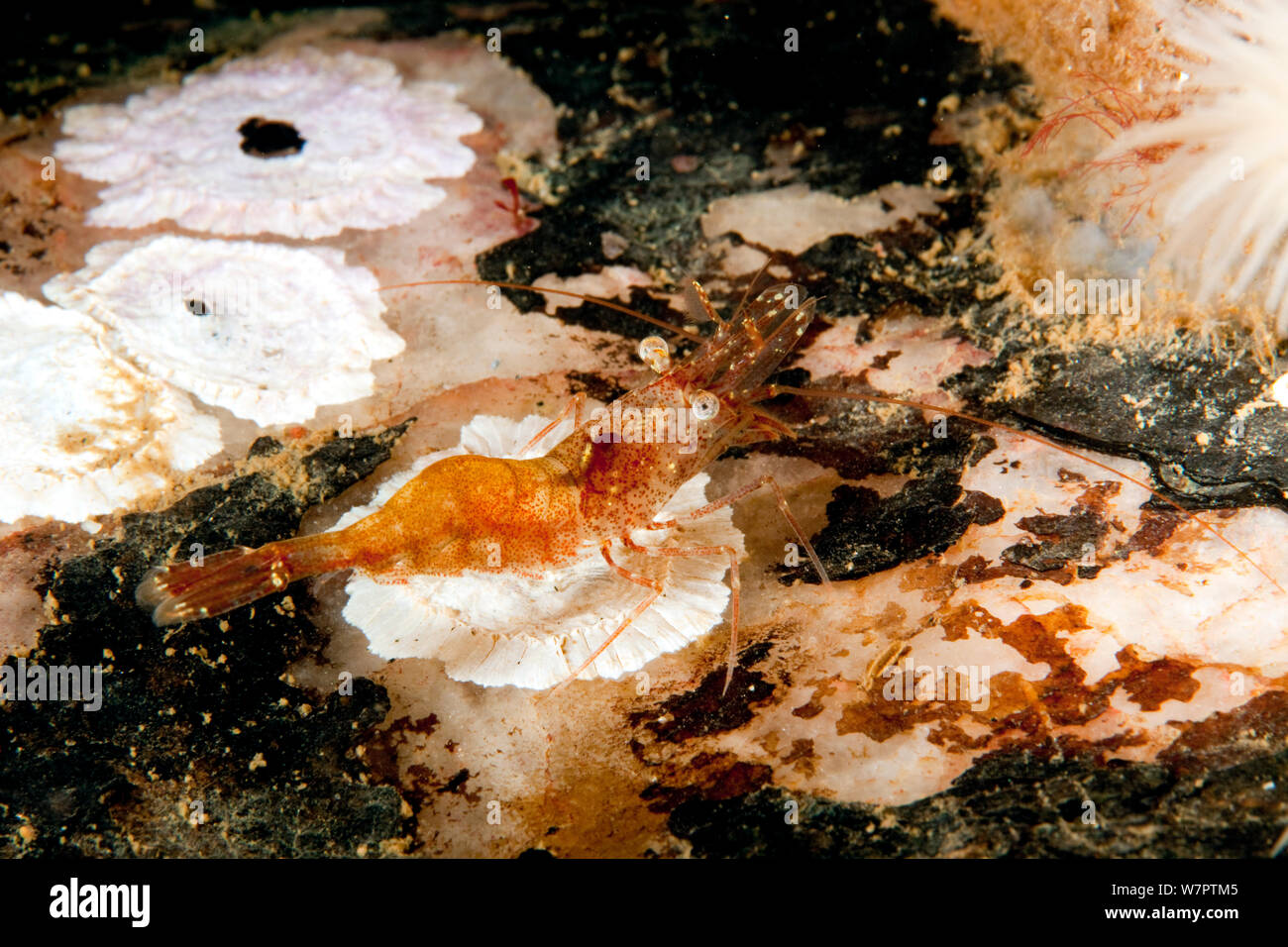 Arctic circle center hi-res stock photography and images - Alamy
