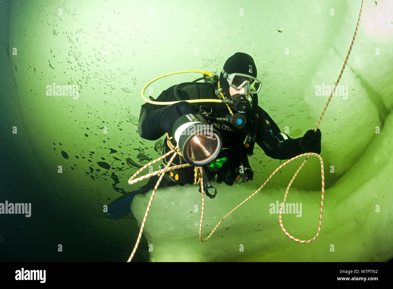 Scuba diver under ice, Arctic circle Dive Center, White Sea, Karelia ...