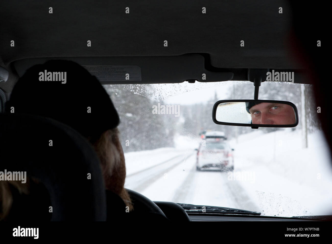 Lauri, guide, driving to the Riisitunturi National Park, Lapland ...
