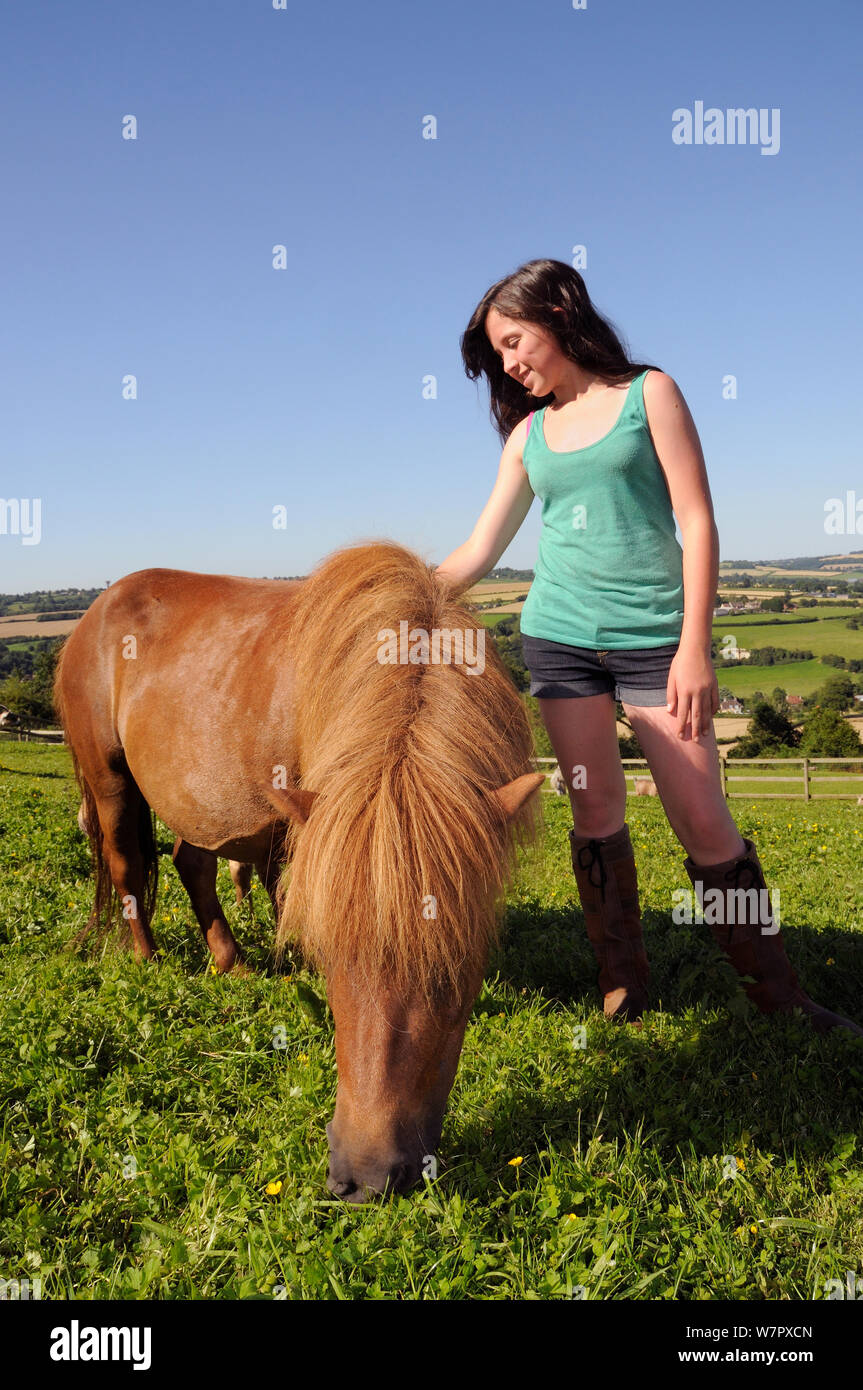 Girl stroking American miniature horse (Equus caballus) mare as she ...