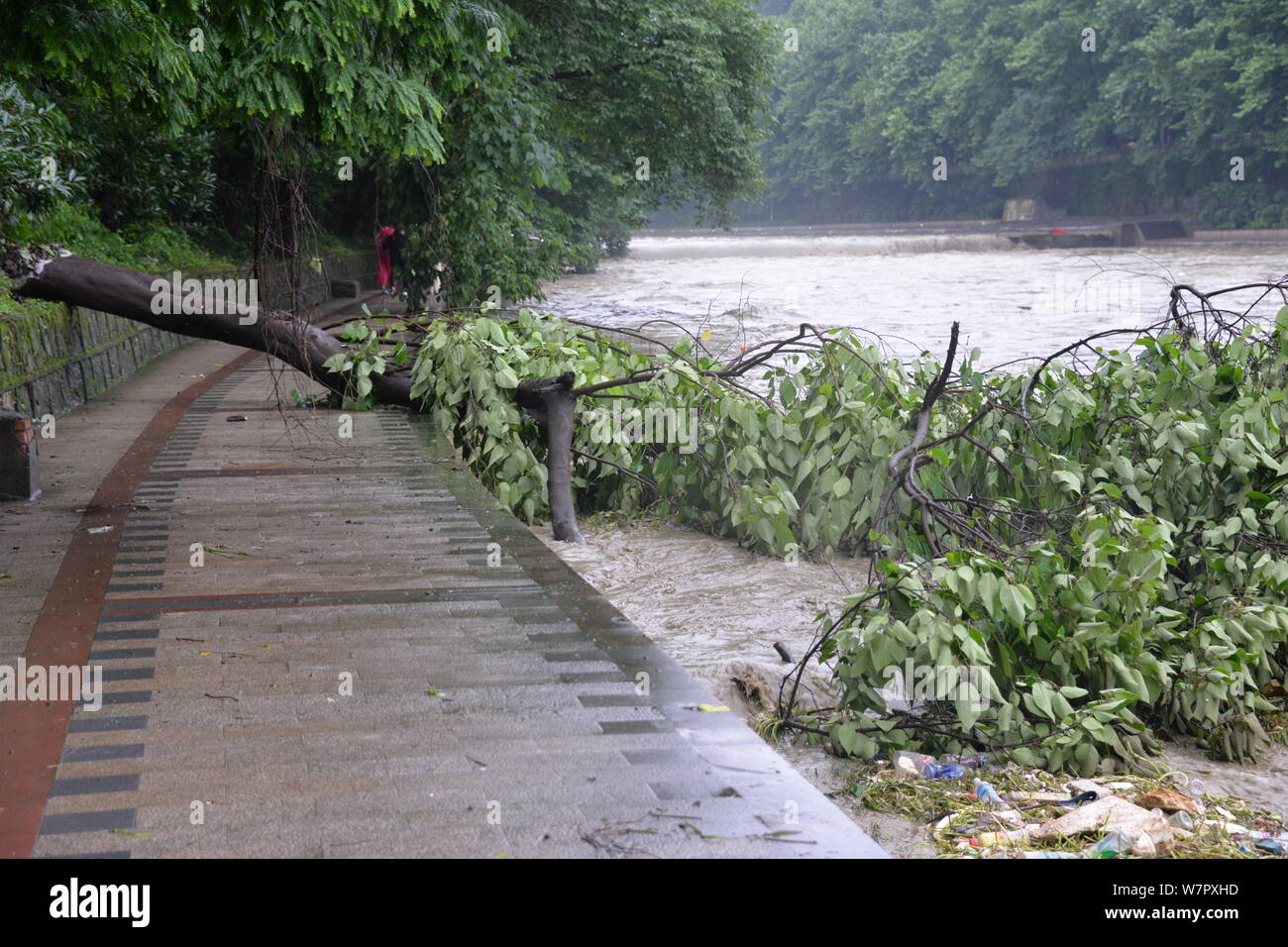 Wind blew hi-res stock photography and images - Alamy