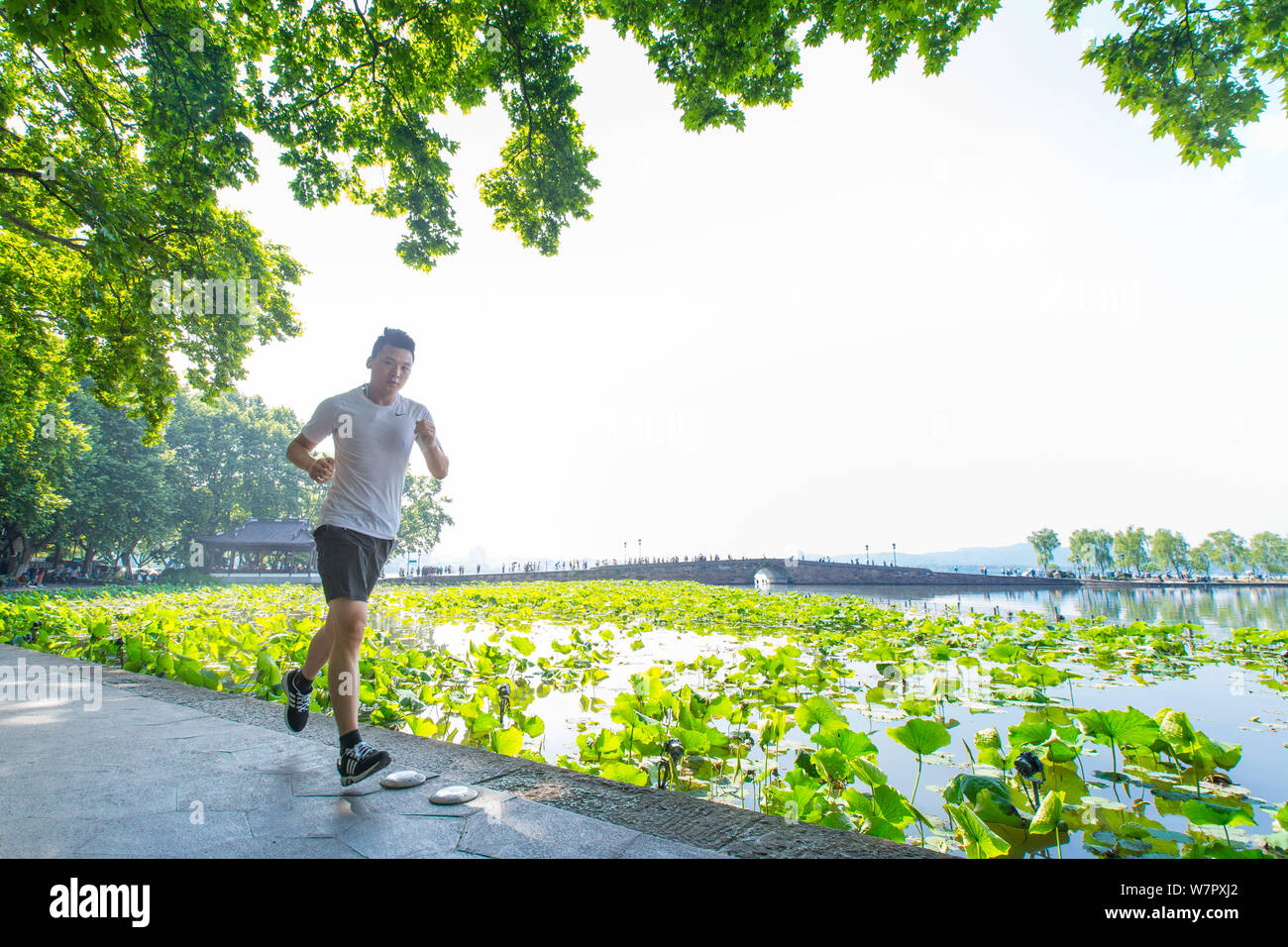 China Hangzhou West Lake Bai Causeway High Resolution Stock Photography ...