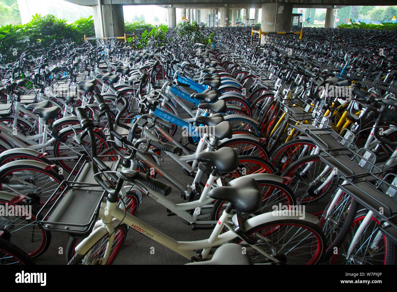 Bicycles of Chinese bike-sharing services are lined up at a parking lot ...