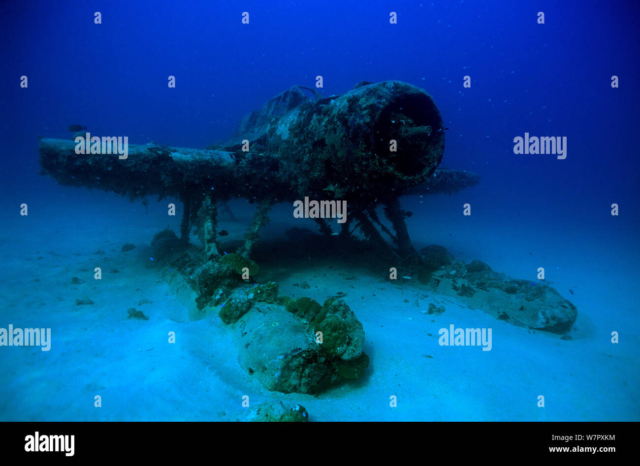 Wreck of Japanese Aichi E13A Reconnassance float plane (Allied code ...