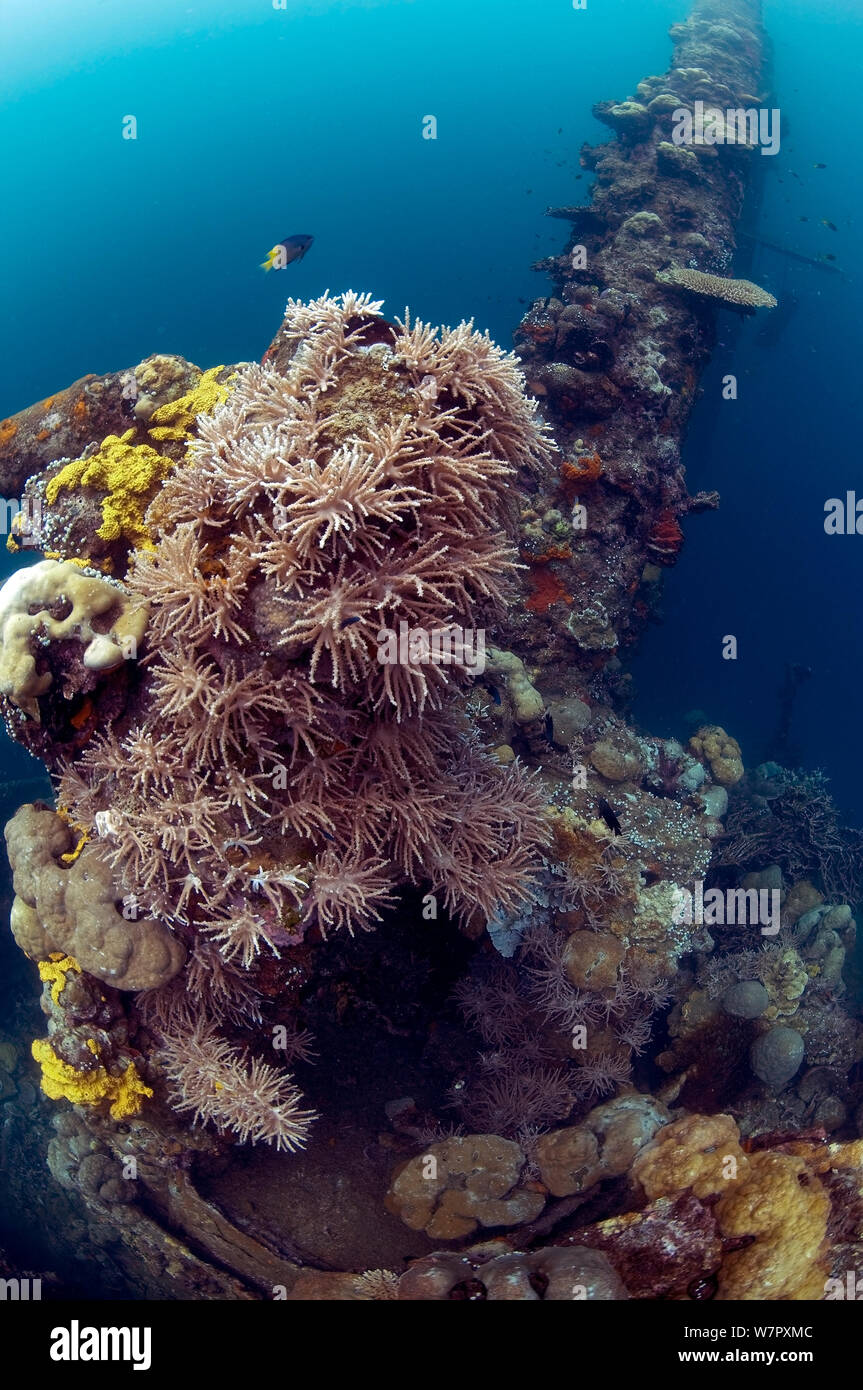 Coral harbour base hi-res stock photography and images - Alamy