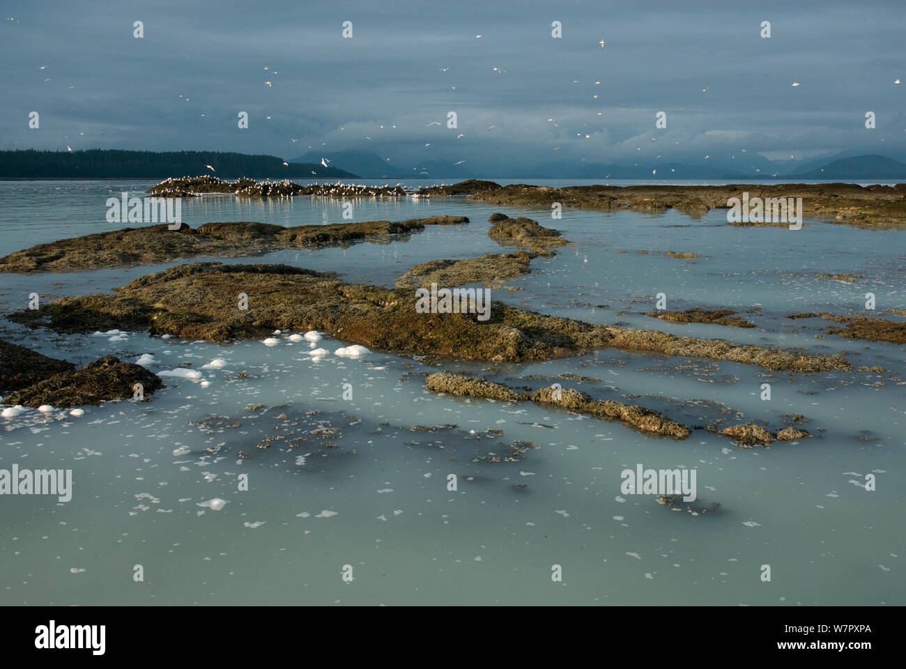 Vast quantity hi-res stock photography and images - Alamy