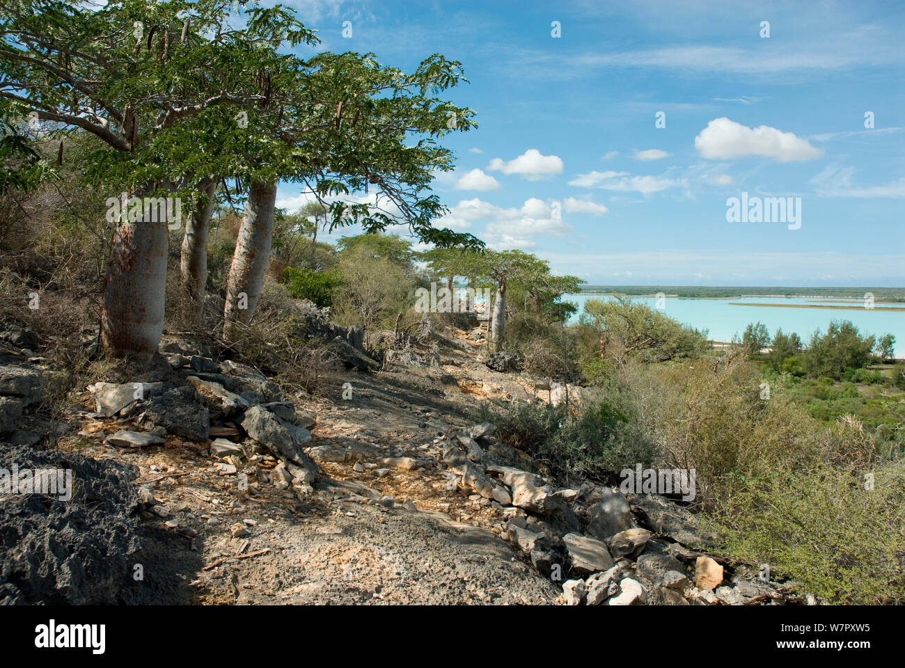 View from limestone escarpment overlooking Lac Tsimanampetsotsa ...