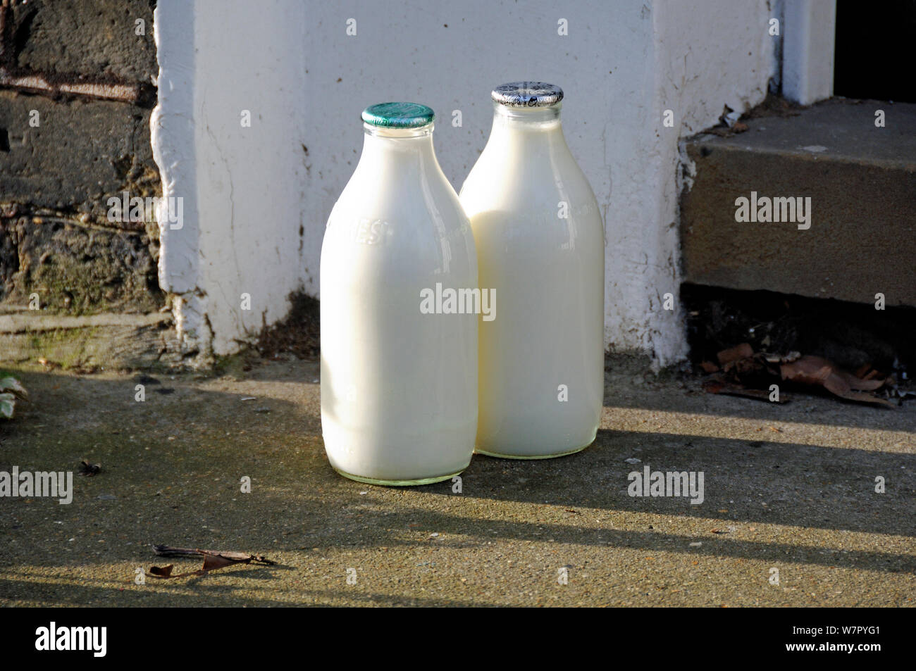 Two full glass milk bottles standing on doorstep, one green top and one ...