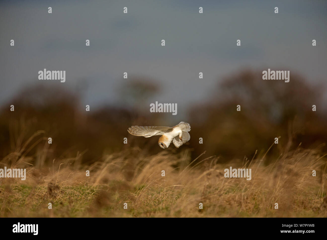 Sequence 5 hi-res stock photography and images - Alamy