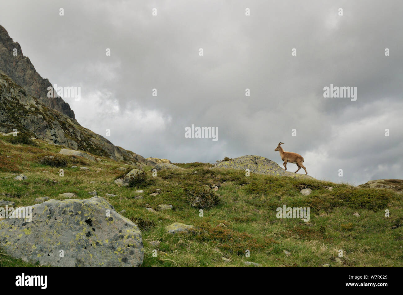 Aiguilles rouges national nature reserve hi-res stock photography and ...