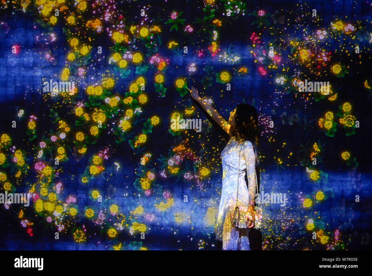 A Chinese citizen visits the immersive exhibition "teamLab: Dance! Art ...
