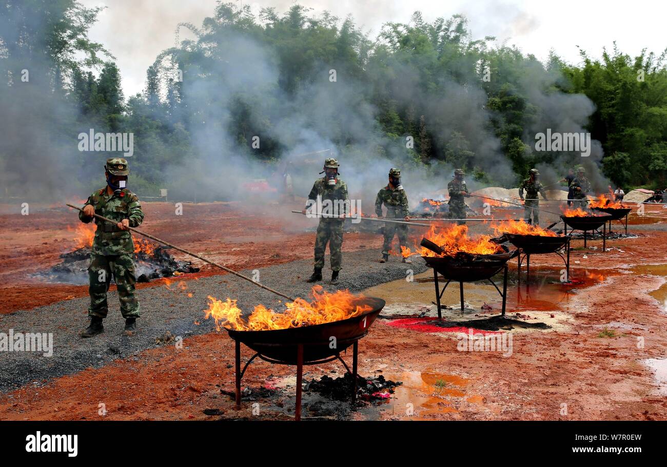 Police officers burn confiscated drugs during an anti-drug campaign to ...