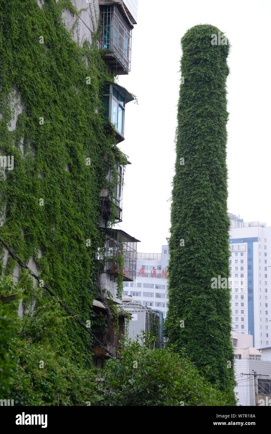 Height of 30 meters hi-res stock photography and images - Alamy