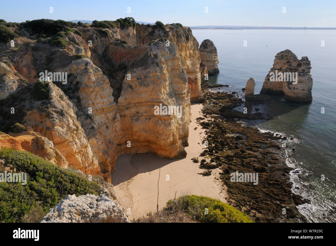 Weathered sandstone cliffs and sea stacks at Ponta da Piedade. Lagos ...