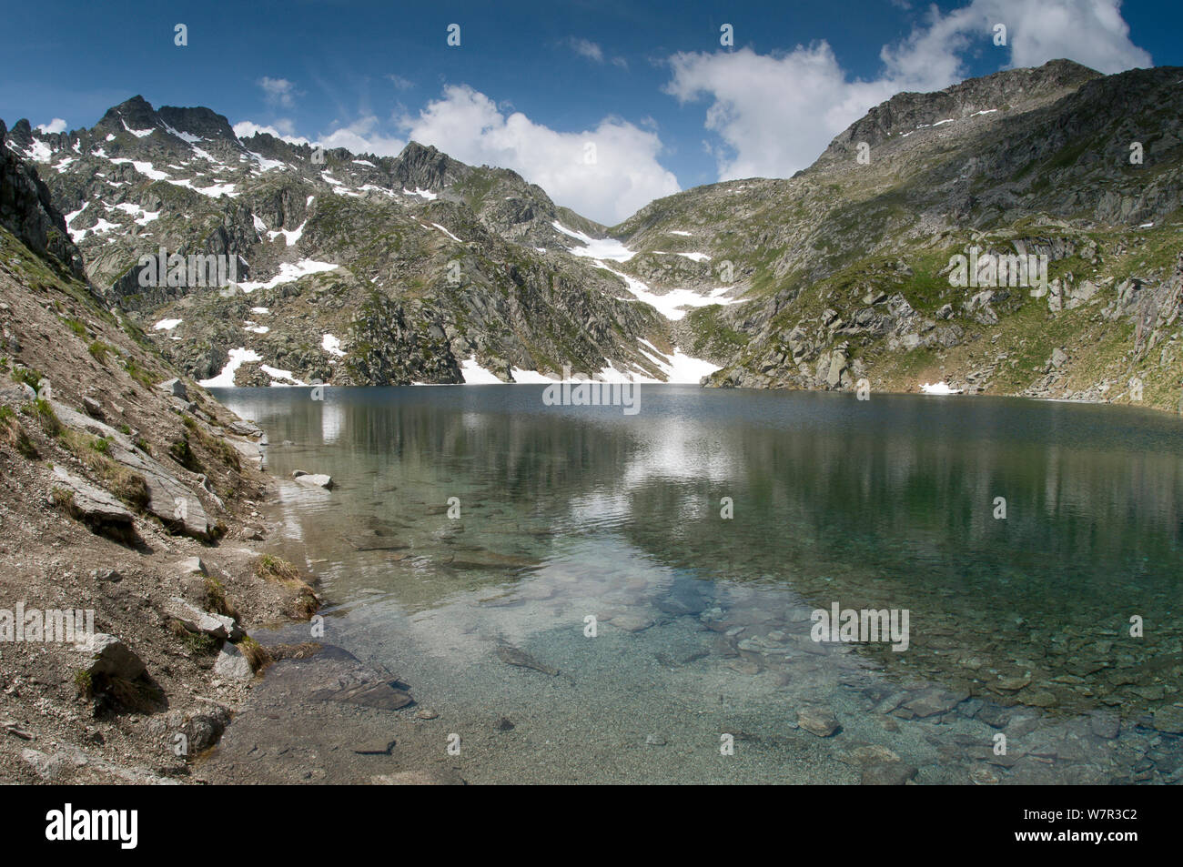 Lake lambin hi-res stock photography and images - Alamy