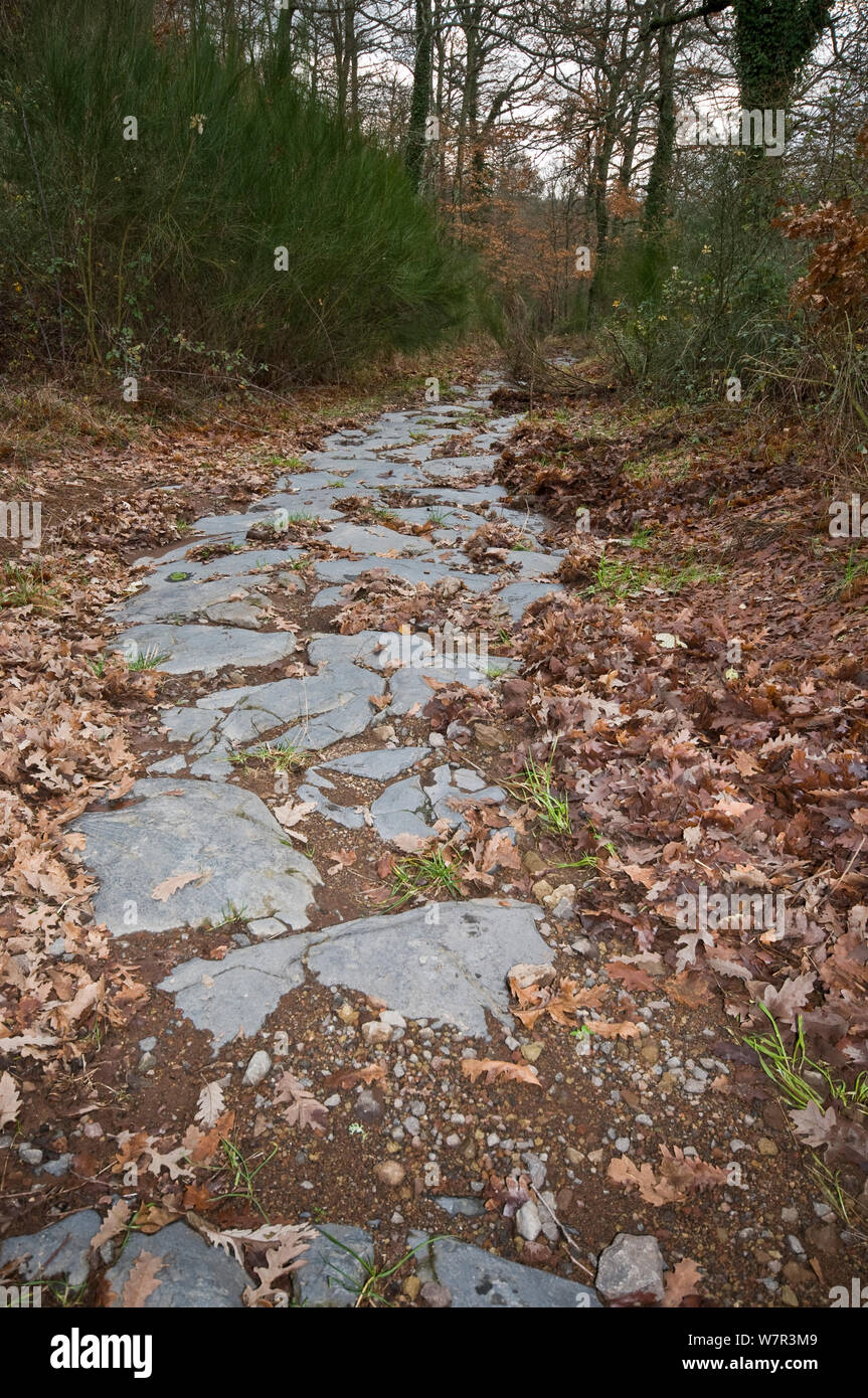 Ancient Roman road made in Basalt near Bolsena, Lazio. Italy, January ...