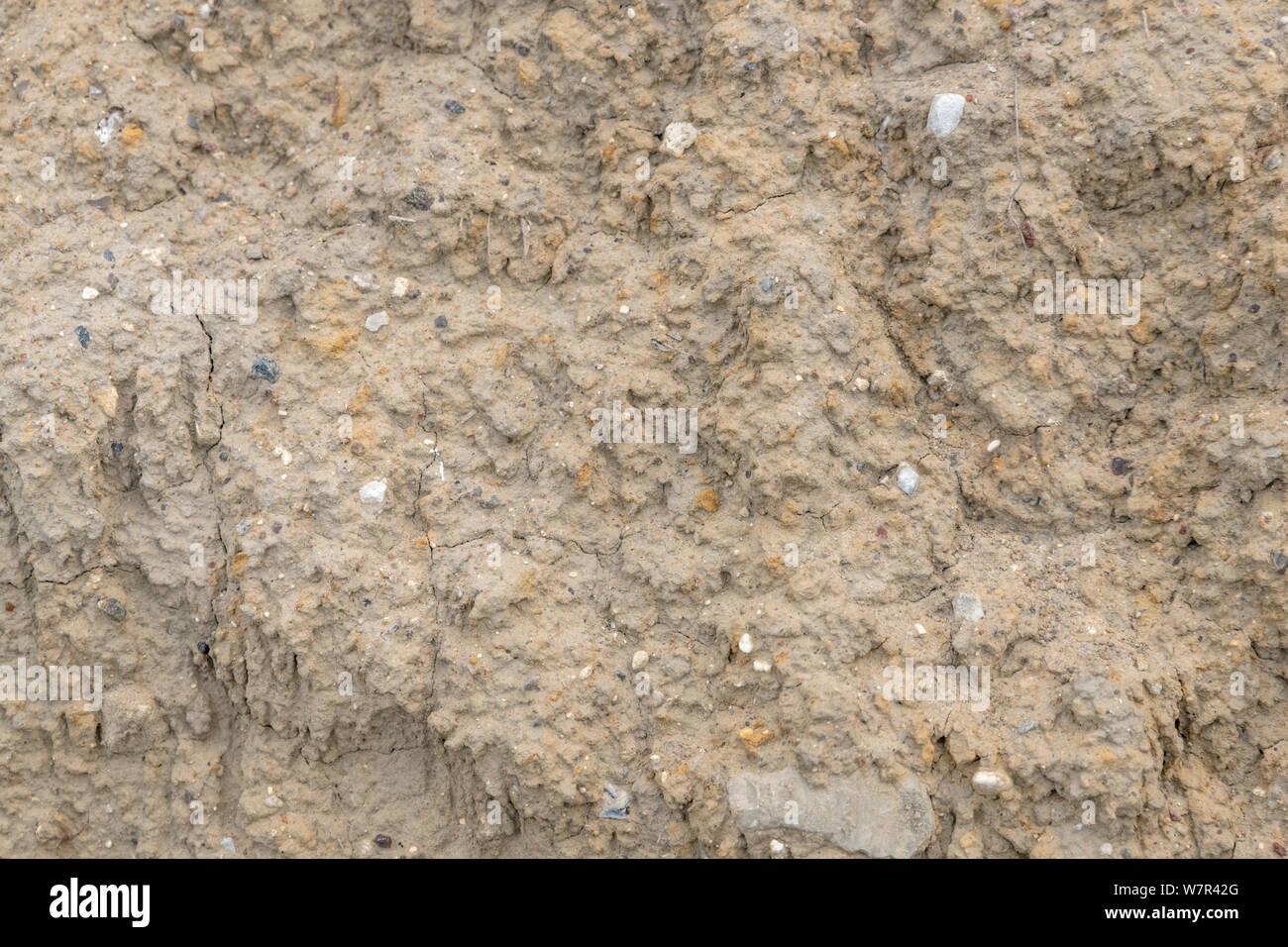Sand wall of light sand with small pebbles as background Stock Photo ...