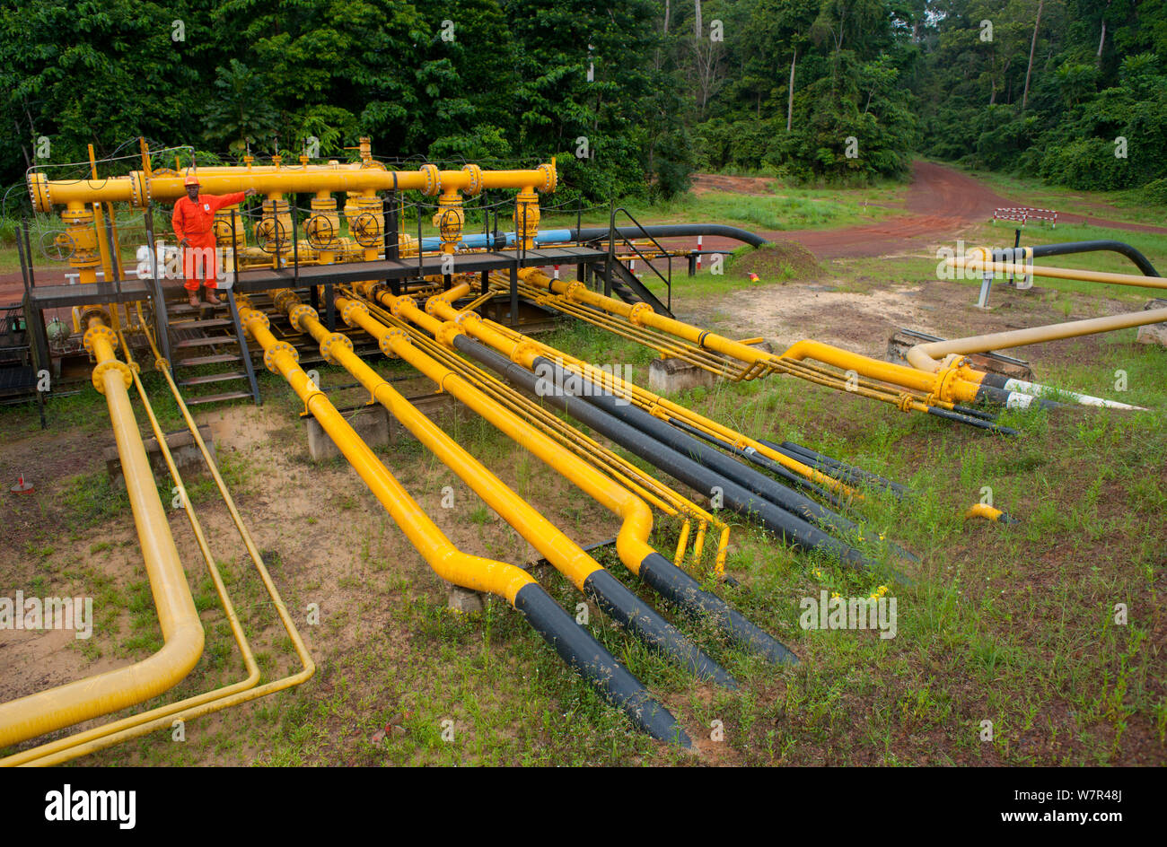 Petroleum infrastructure in African tropical rainforest - oil pipelines ...
