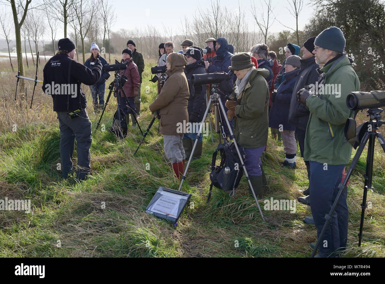 RSPB guide with group of people watching Common / Eurasian cranes (Grus ...