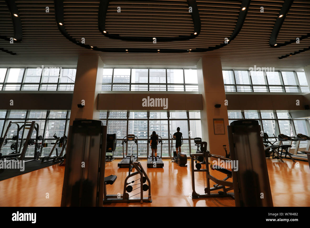 Gym king hi-res stock photography and images - Alamy